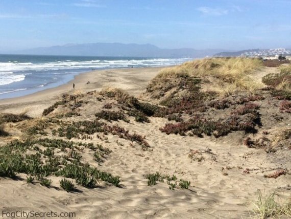 Ocean Beach San Francisco. A local's guide to the beach.