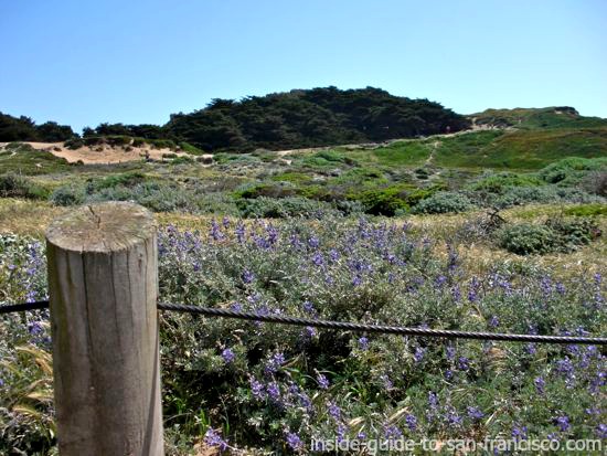 Fort Funston. Tips for visiting SF's Wild Beach