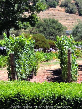 Visit the Napa Wineries: a local's guide.